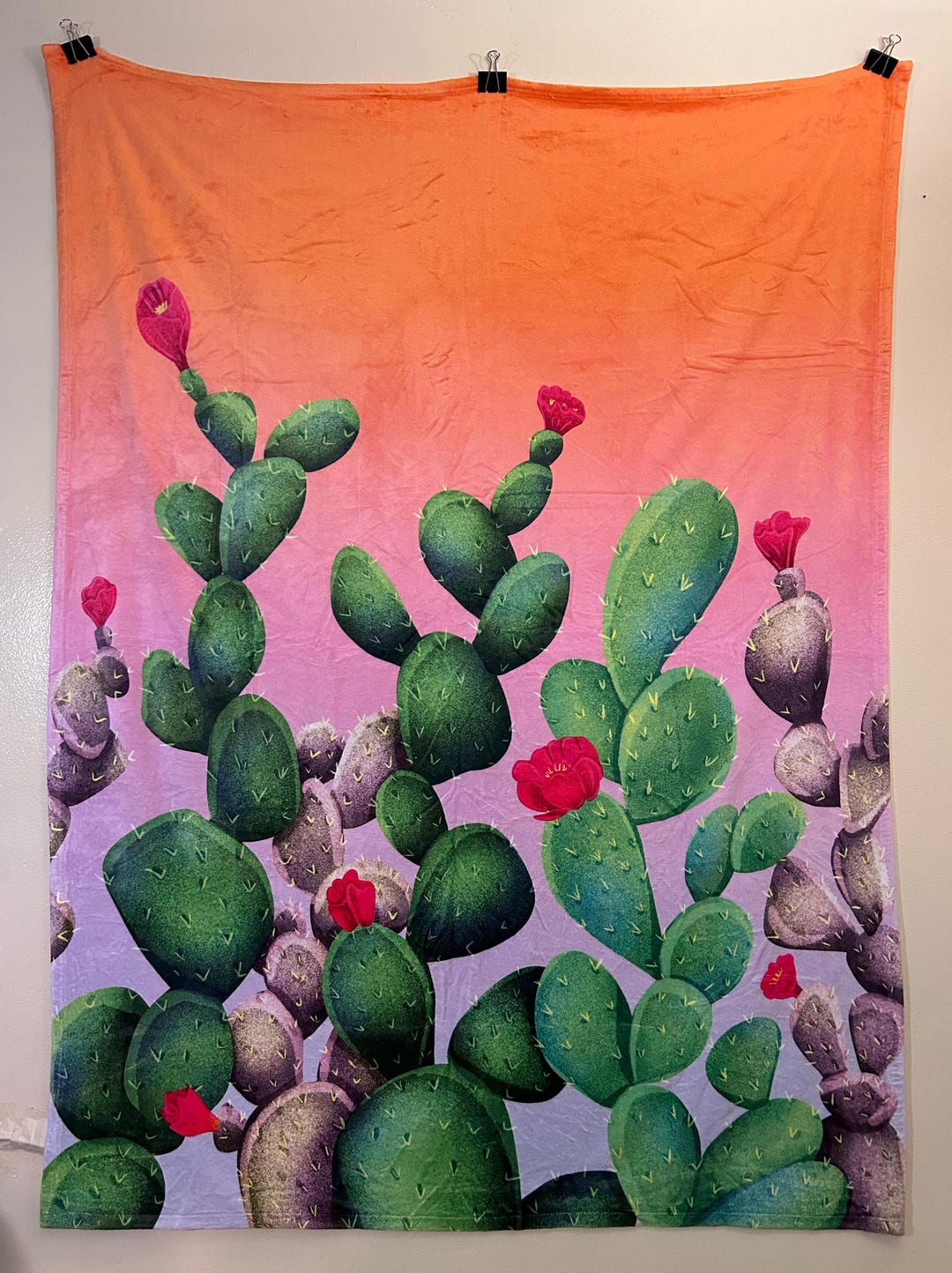 Sabra Cactus Minky Blanket: Israeli Desert Sunset Throw - Judaica Gift ...