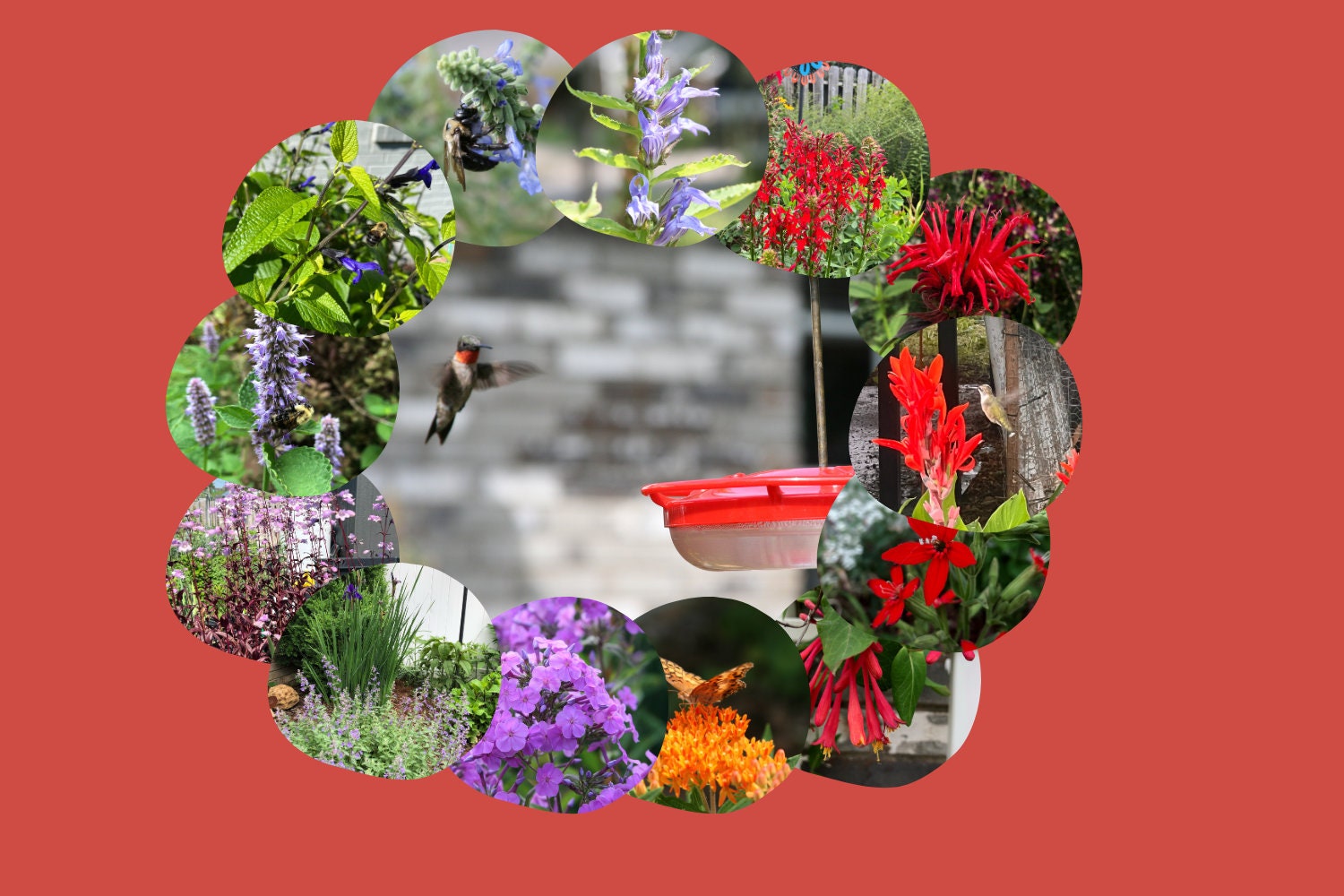 Garden Design Plan Hummingbird Garden. Digital Garden Design Plan ...