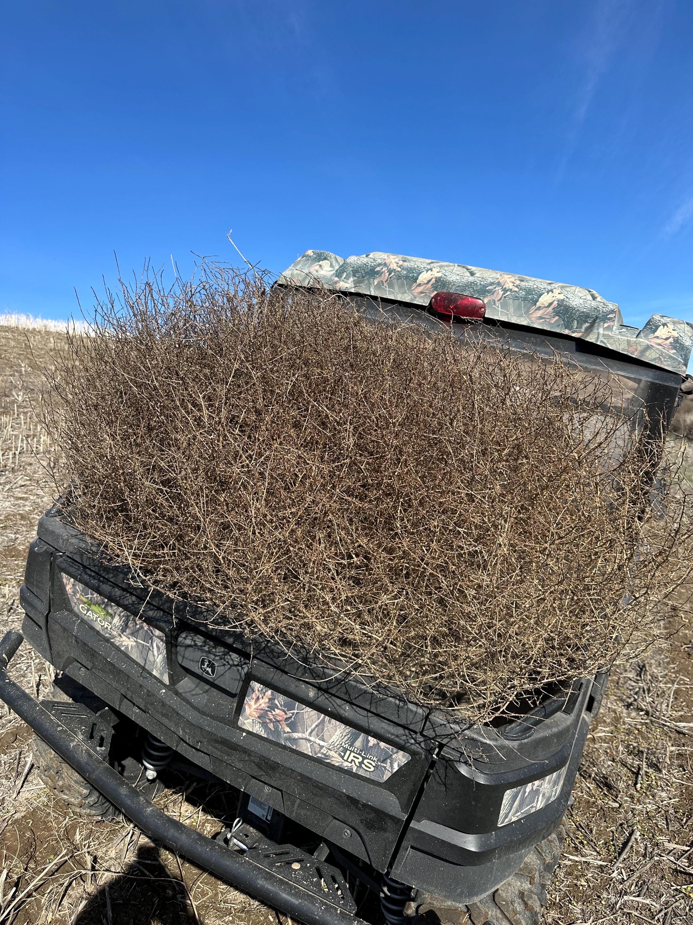 Authentic Tumbleweed - Etsy