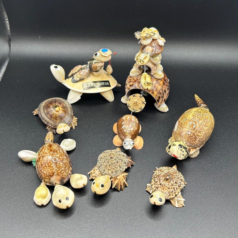 Seashell Turtle - Etsy