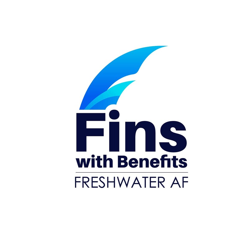 Custom Logo Design | Professional Branding for Businesses | Minimalist, Modern, or Unique Logos ...