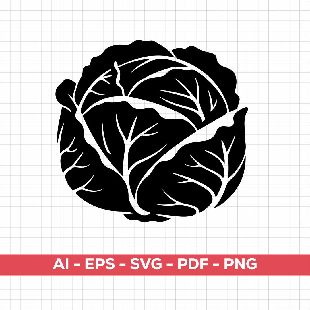 Cabbage Clipart SVG: Vector Image, Cutting File (digital Download) - Etsy