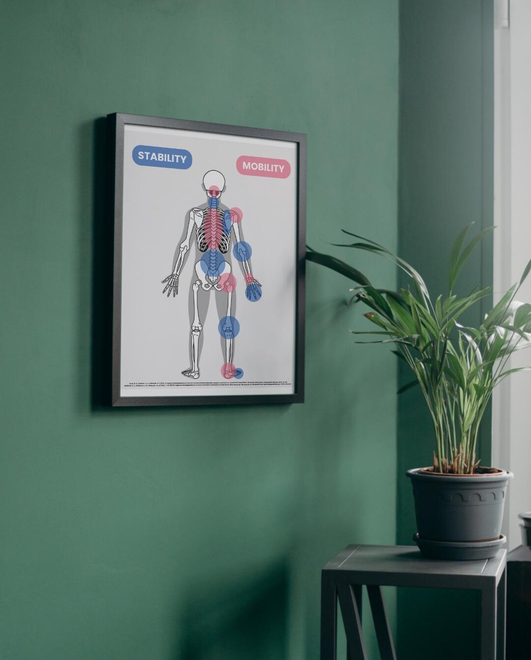 Joint by Joint Approach Poster | DIGITAL DOWNLOADS | Chiropractic or ...