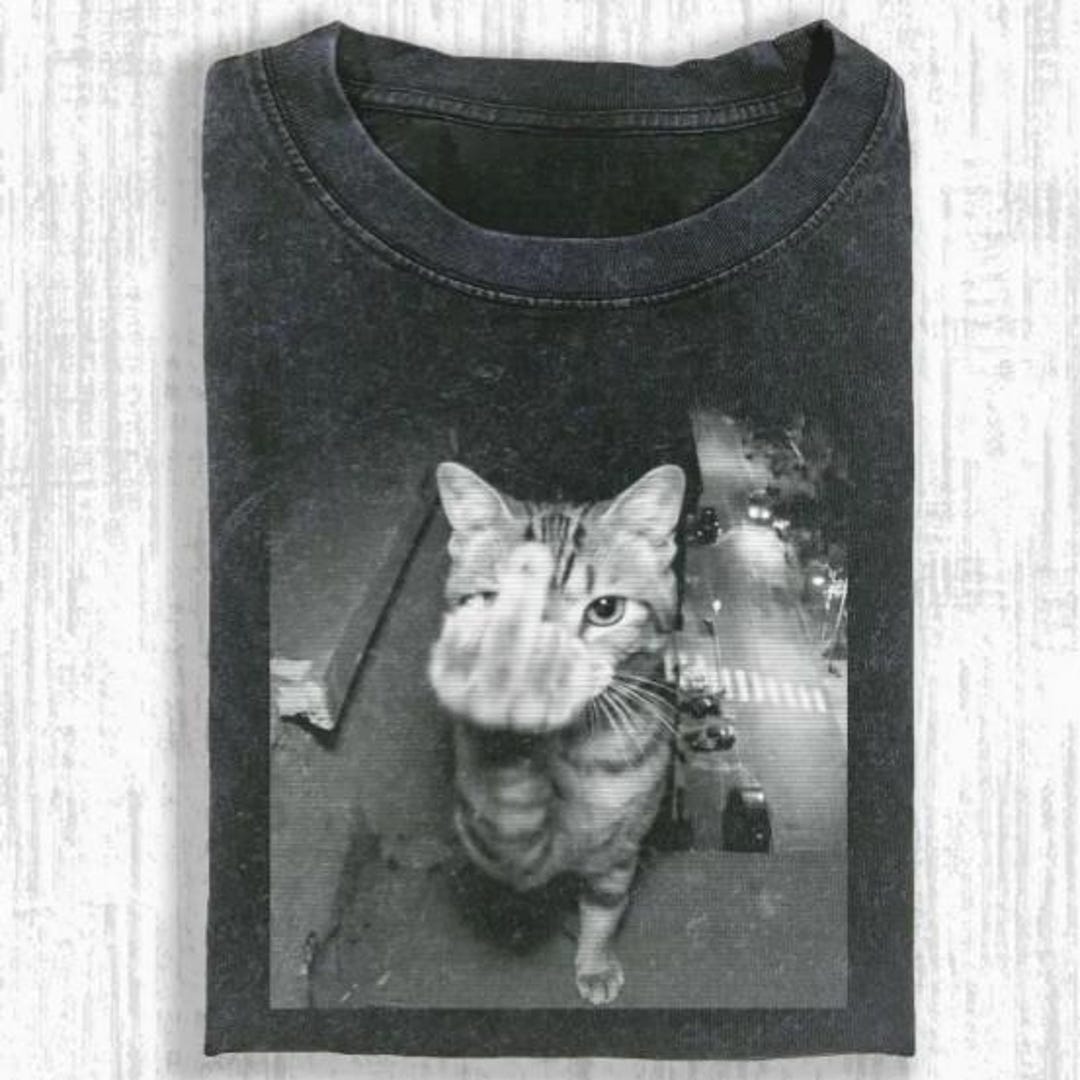 Vintage Wash Rude Cat Meme Shirt, Funny Middle Finger Cat Tee, Black ...