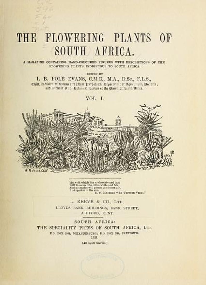 Vintage Botanical Illustration Art Print Collection South African ...