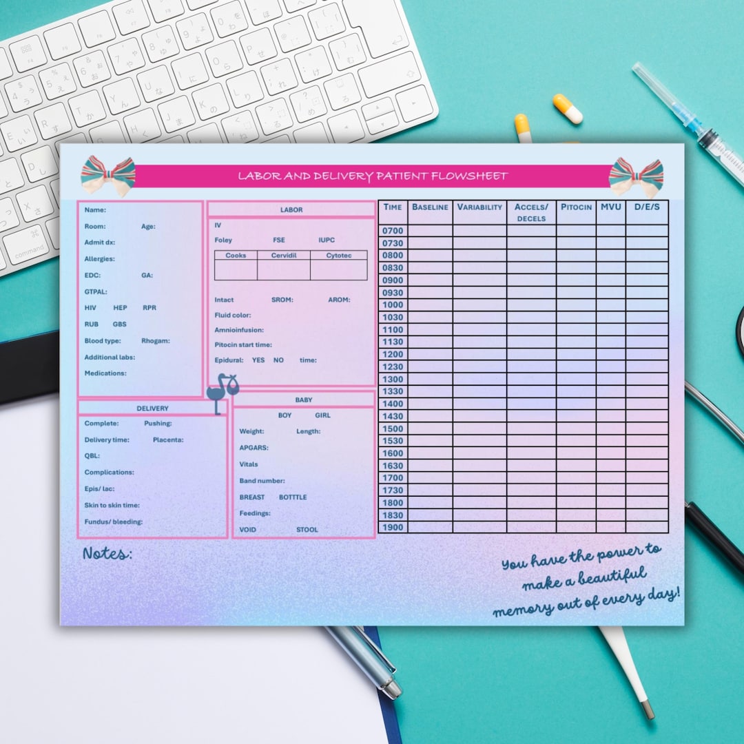Labor and Delivery Nurse Flowsheet for Labor and Delivery L&D Charting ...
