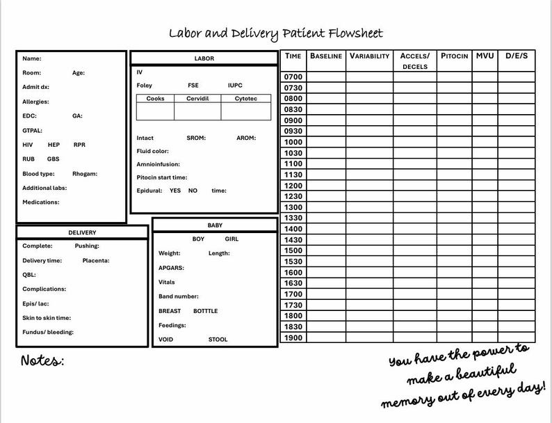 Labor and Delivery Nurse Flowsheet - Etsy