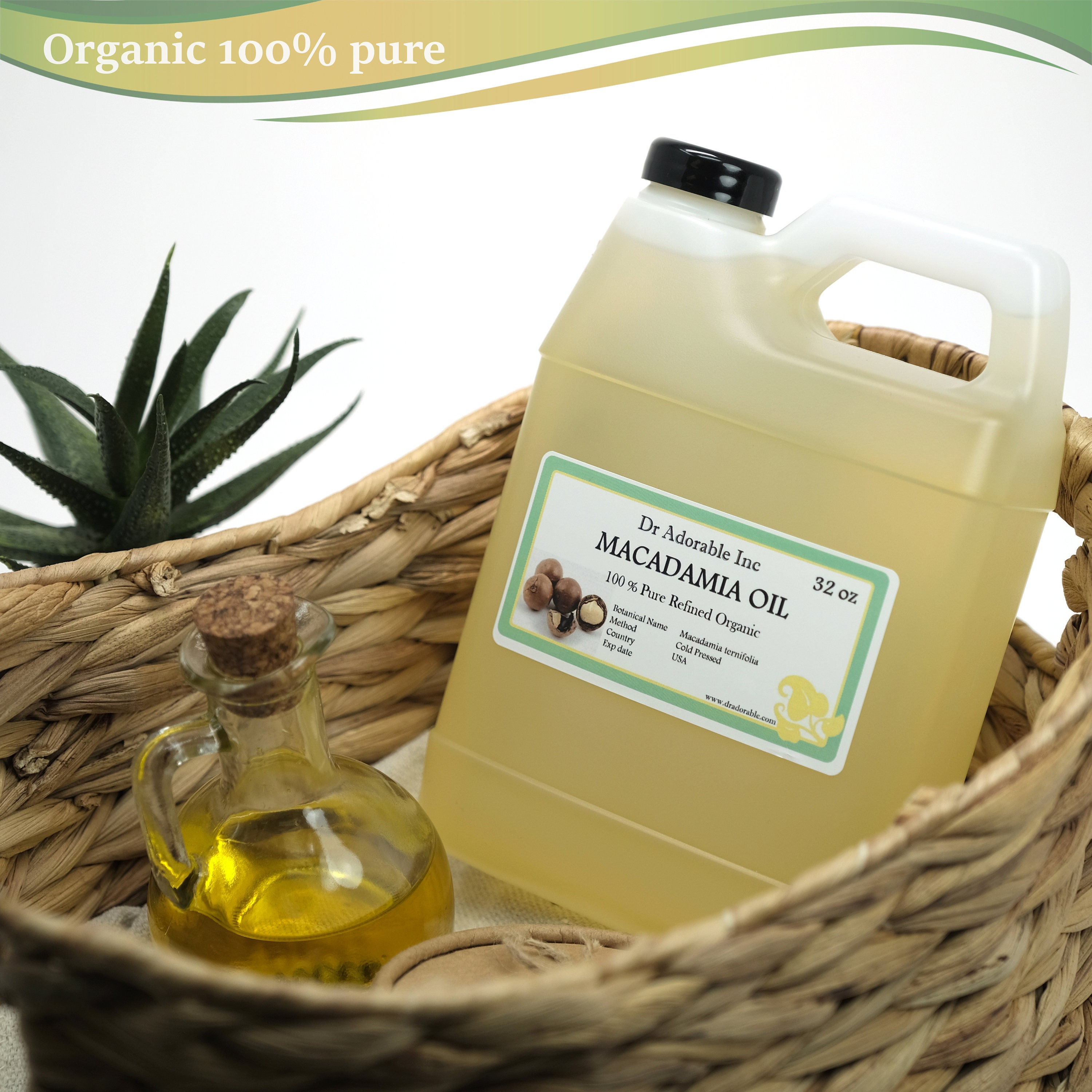 32 Oz - Macadamia Nut Oil - Organic Cold Pressed 100% Pure - Etsy