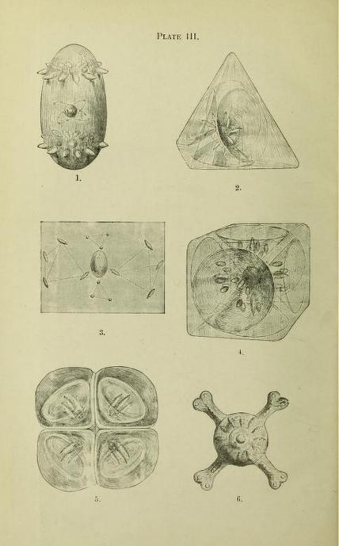 Occult Chemistry | Rare Esoteric E-book (PDF) | 140+ Pages W/ Vintage ...