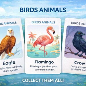 Birds Animal Flashcards | Printable Kids Learning Cards | Montessori ...