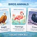 Birds Animal Flashcards | Printable Kids Learning Cards | Montessori ...
