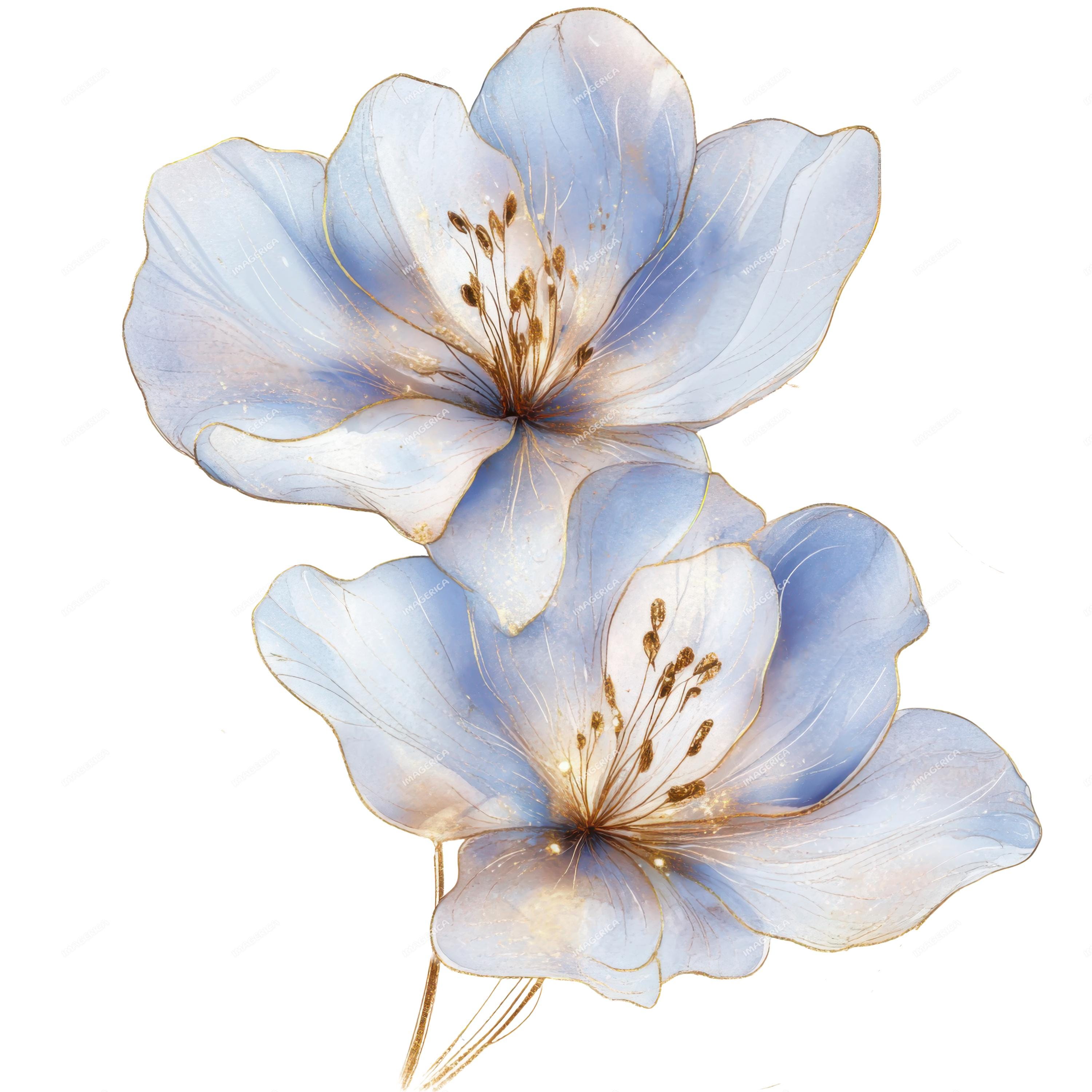10 Abstract Blue Flower Clipart, Watercolor Floral PNG Set, Digital ...