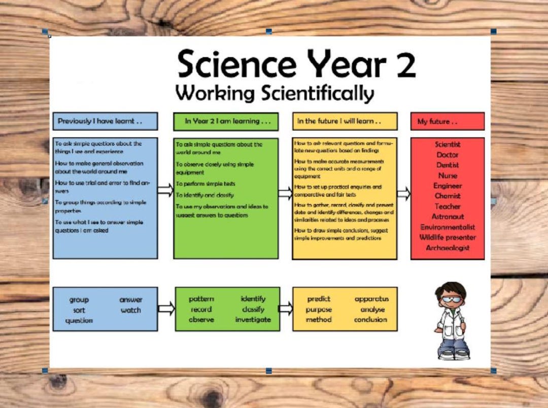 Year 2 Science Next Steps - Etsy