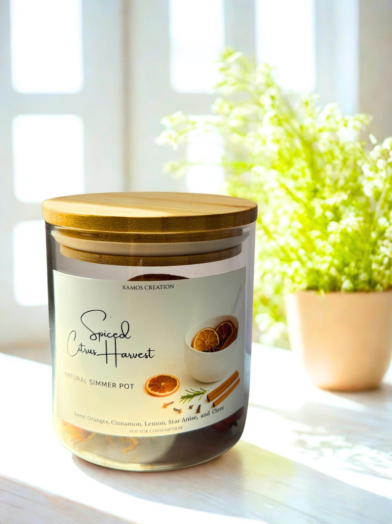 3 Pack Citrus Spice Simmer Pot Kits: Natural Home Fragrance - Etsy
