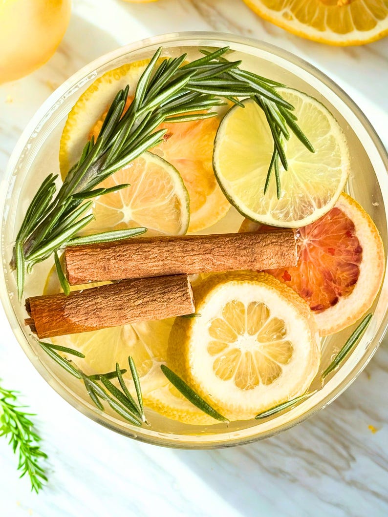 Simmer Pot Kit- Home Fragrance, Stovetop Potpourri, Lemon Cinnamon ...
