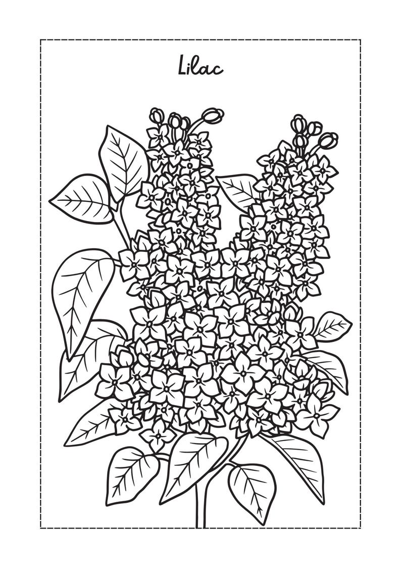 Printable Flower Coloring Pages for Kids | 46 Relaxing Pages | Instant ...