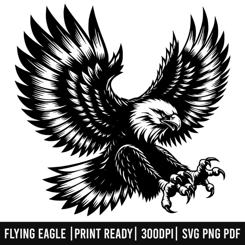 Flying Eagle SVG PNG, Eagle PNG, Flying Eagle Vector, Bald Eagle Svg ...