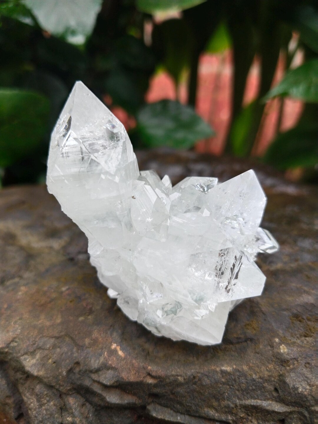 Sparkly Apophyllite Crystal Point Cluster, Zeolite Mineral. - Etsy