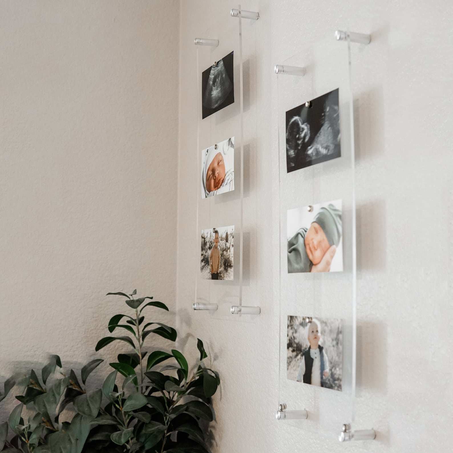 Panoramic Acrylic Float Frame: Magnetic Photo Display (23" X 8") - Etsy