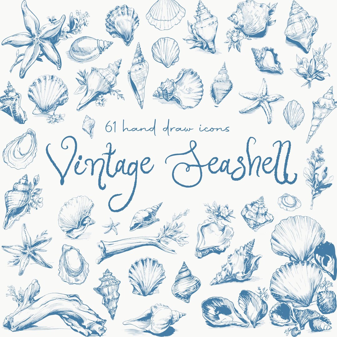 Vintage Seashell Clipart PNG, Botanical Sea Shells, Coastal Art for ...