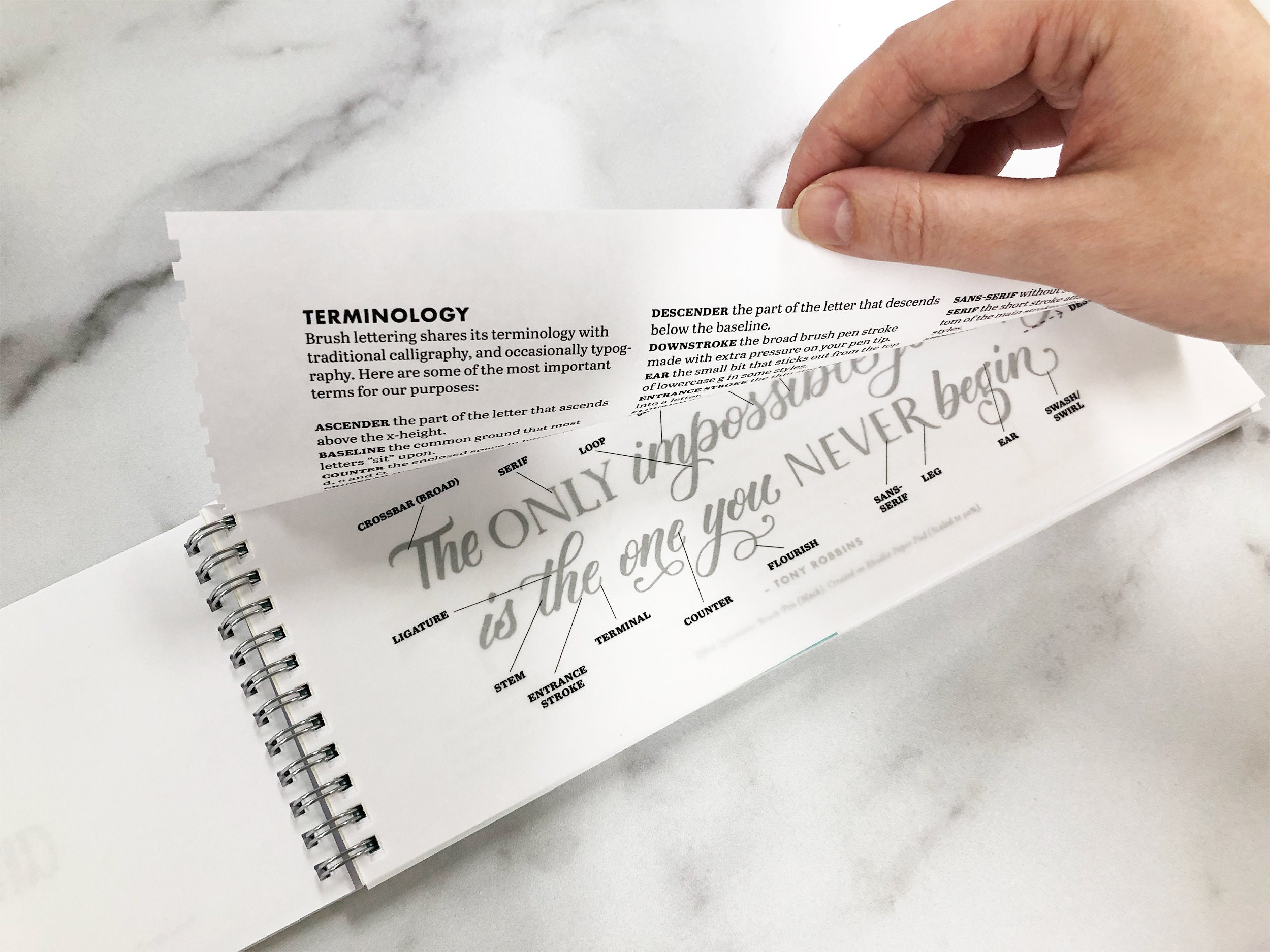 The Unique Book of Brush Lettering - Etsy