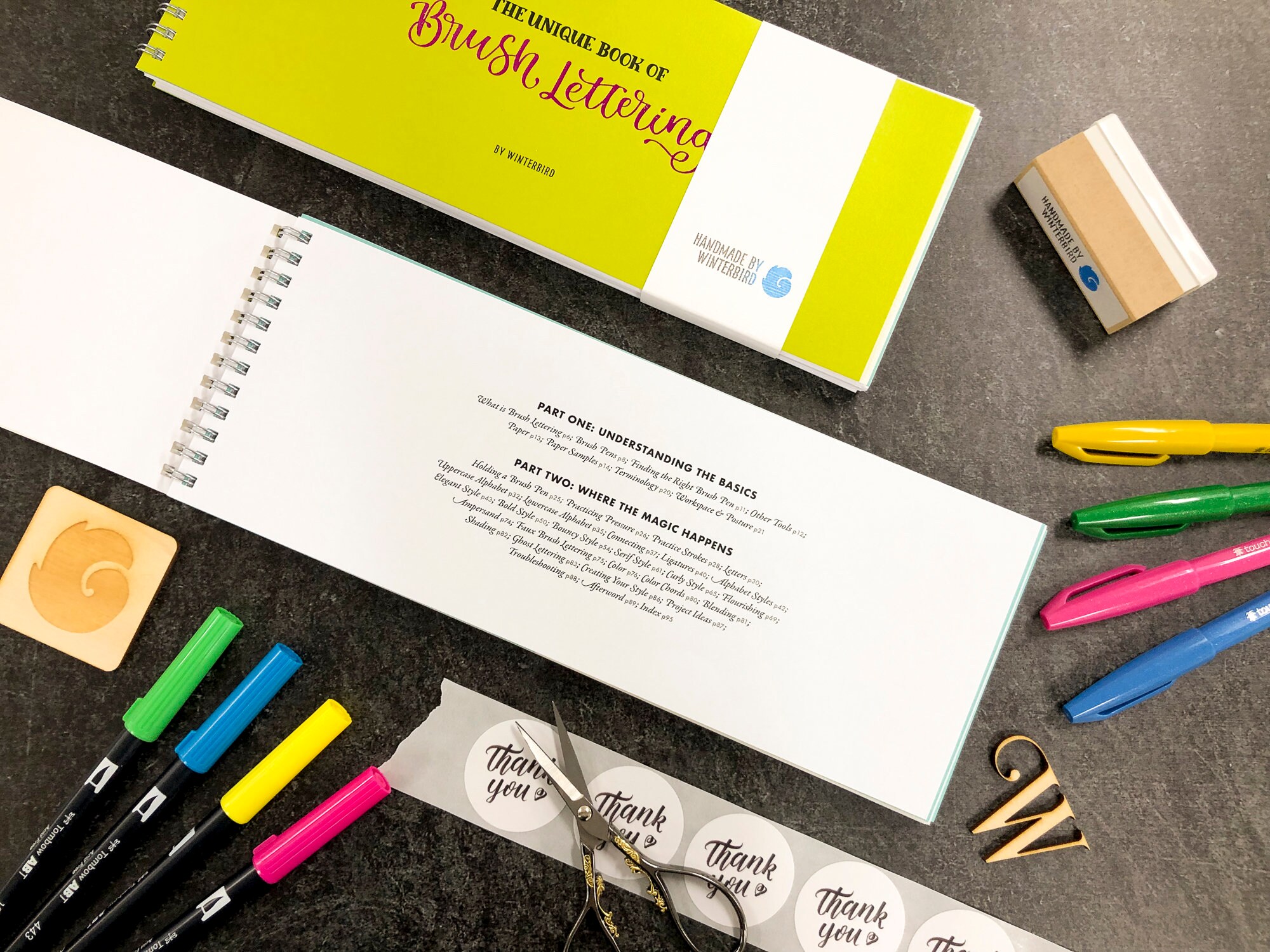 The Unique Book of Brush Lettering - Etsy