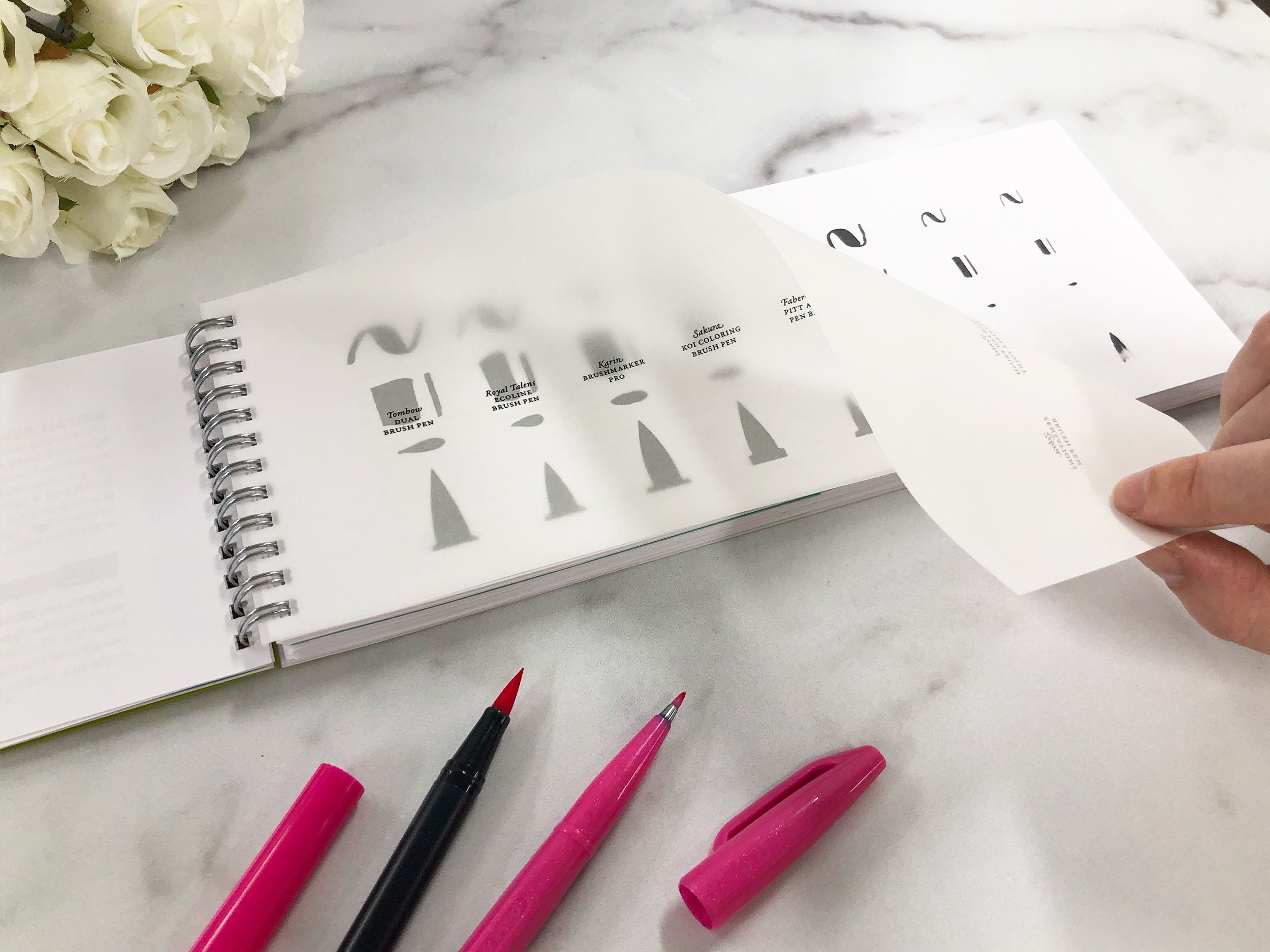 The Unique Book of Brush Lettering - Etsy