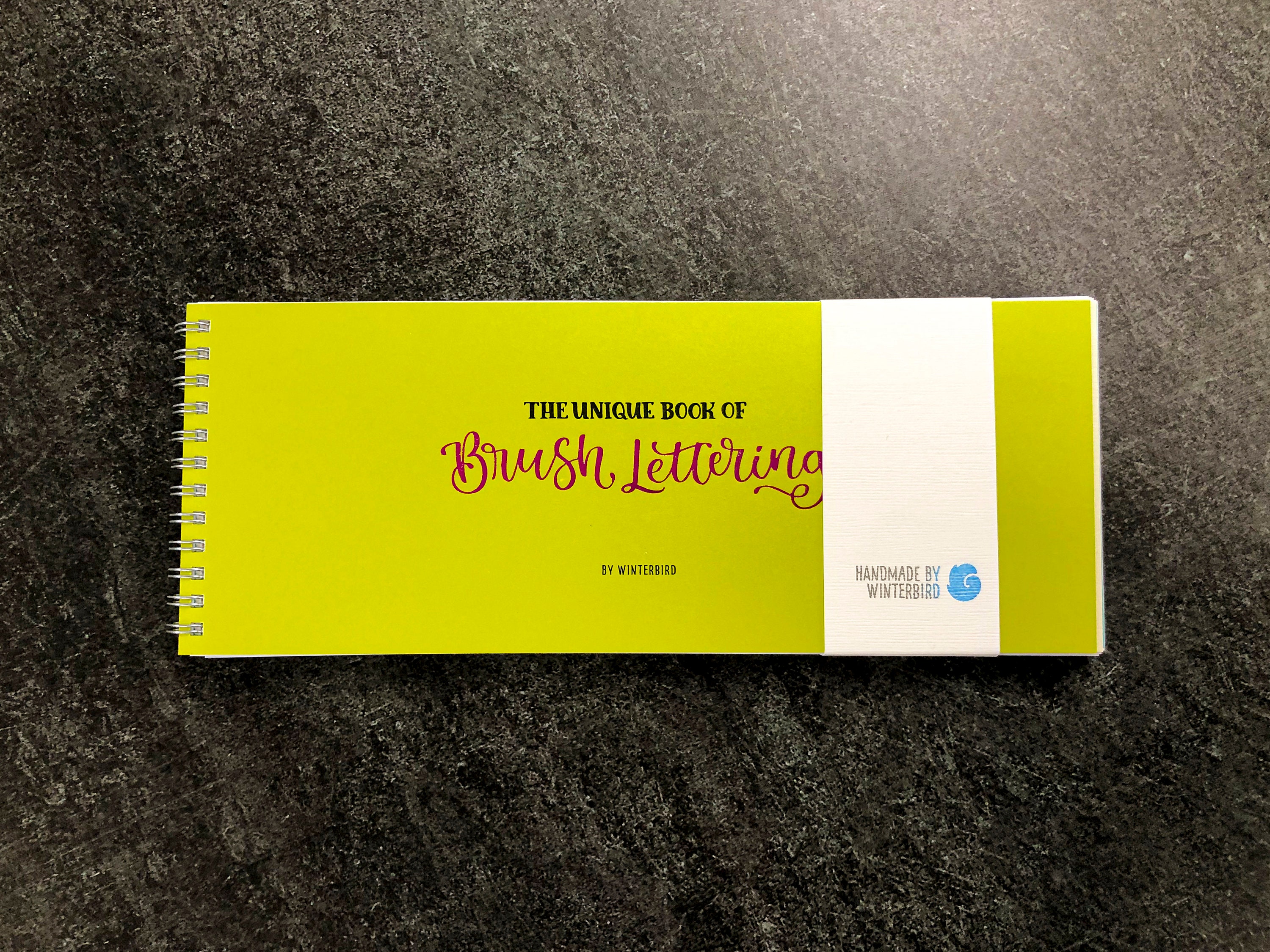 The Unique Book of Brush Lettering - Etsy