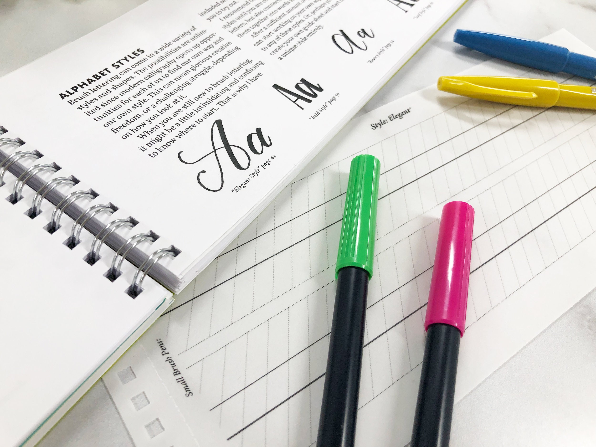 The Unique Book of Brush Lettering - Etsy