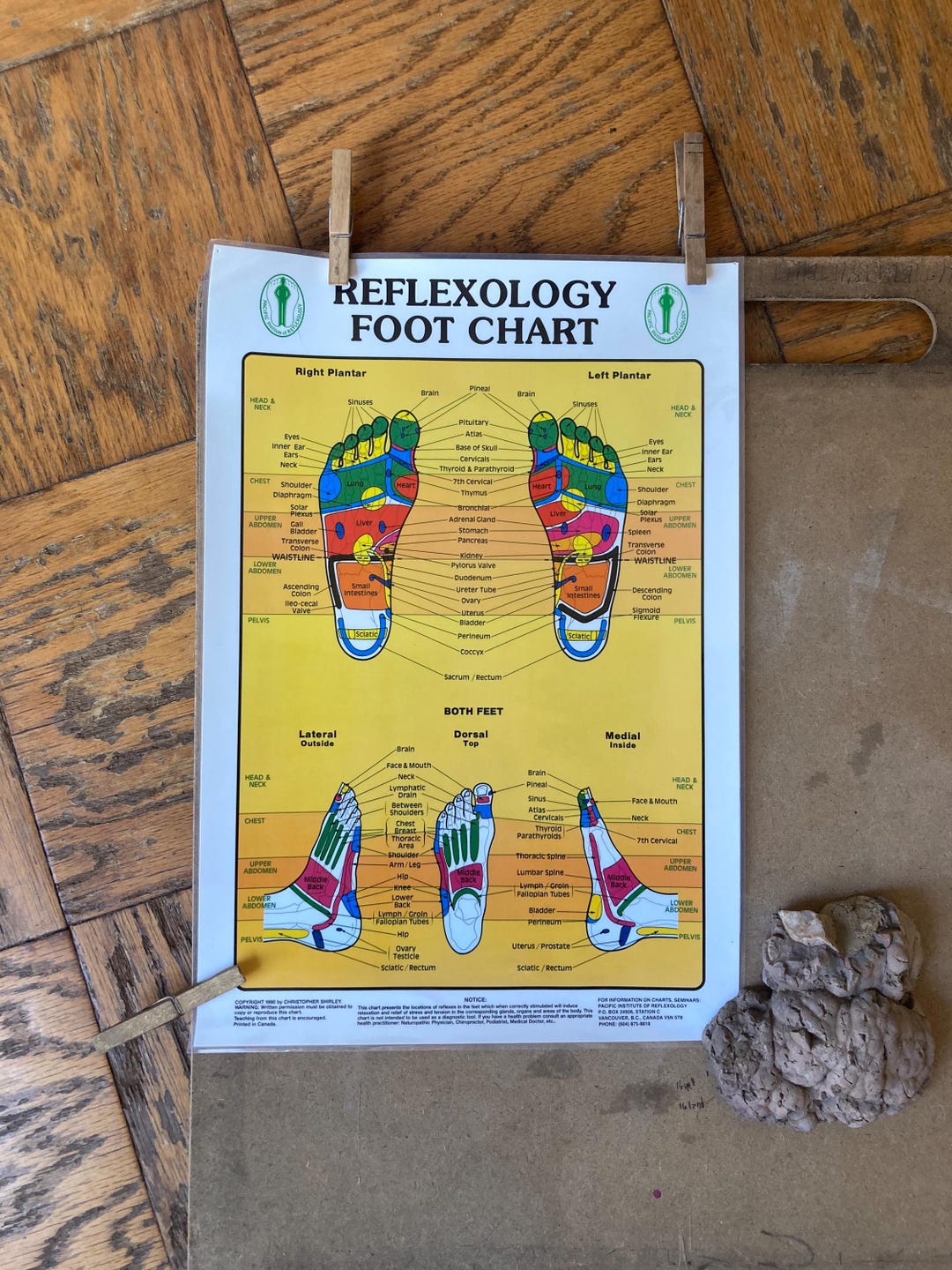Vintage 1990's Foot Reflexology Poster, Laminated, Illustration ...