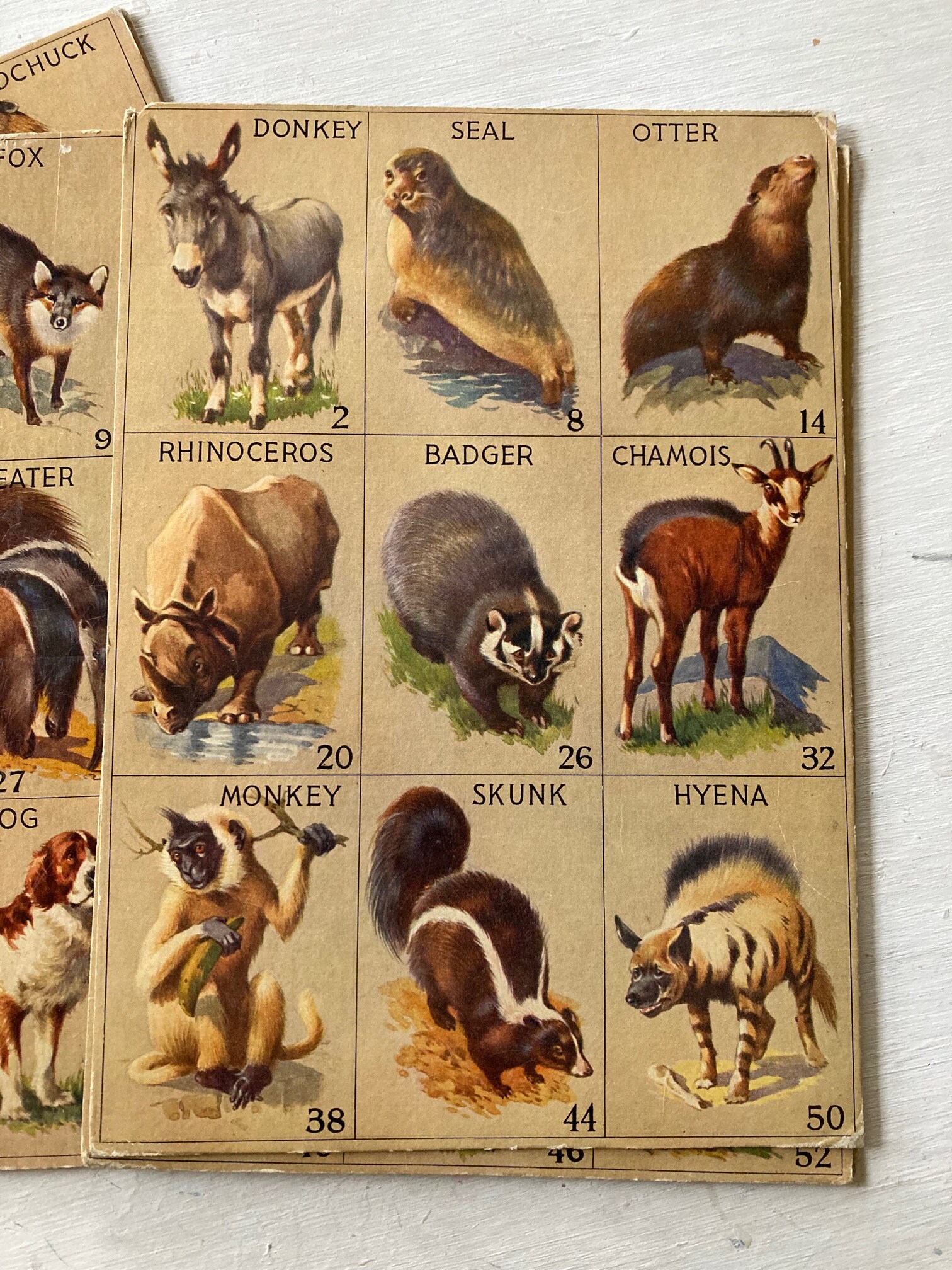 Vintage 1940's Animal Matching Game, Flash Cards, Bingo, Graphic Design ...