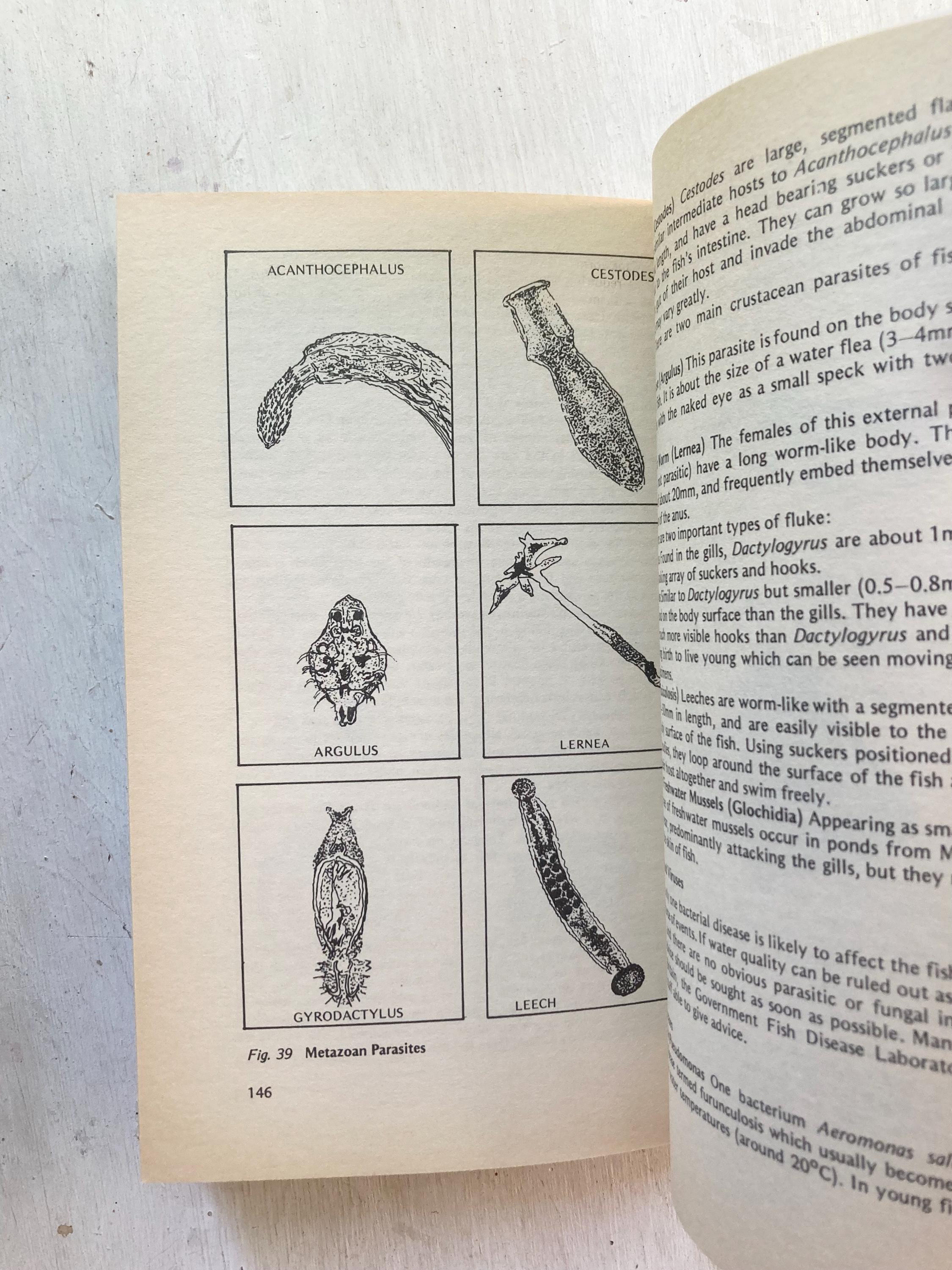Vintage "backyard Fish Farming" Book, 1990, Paul Bryant/kim Jauncey/tim ...