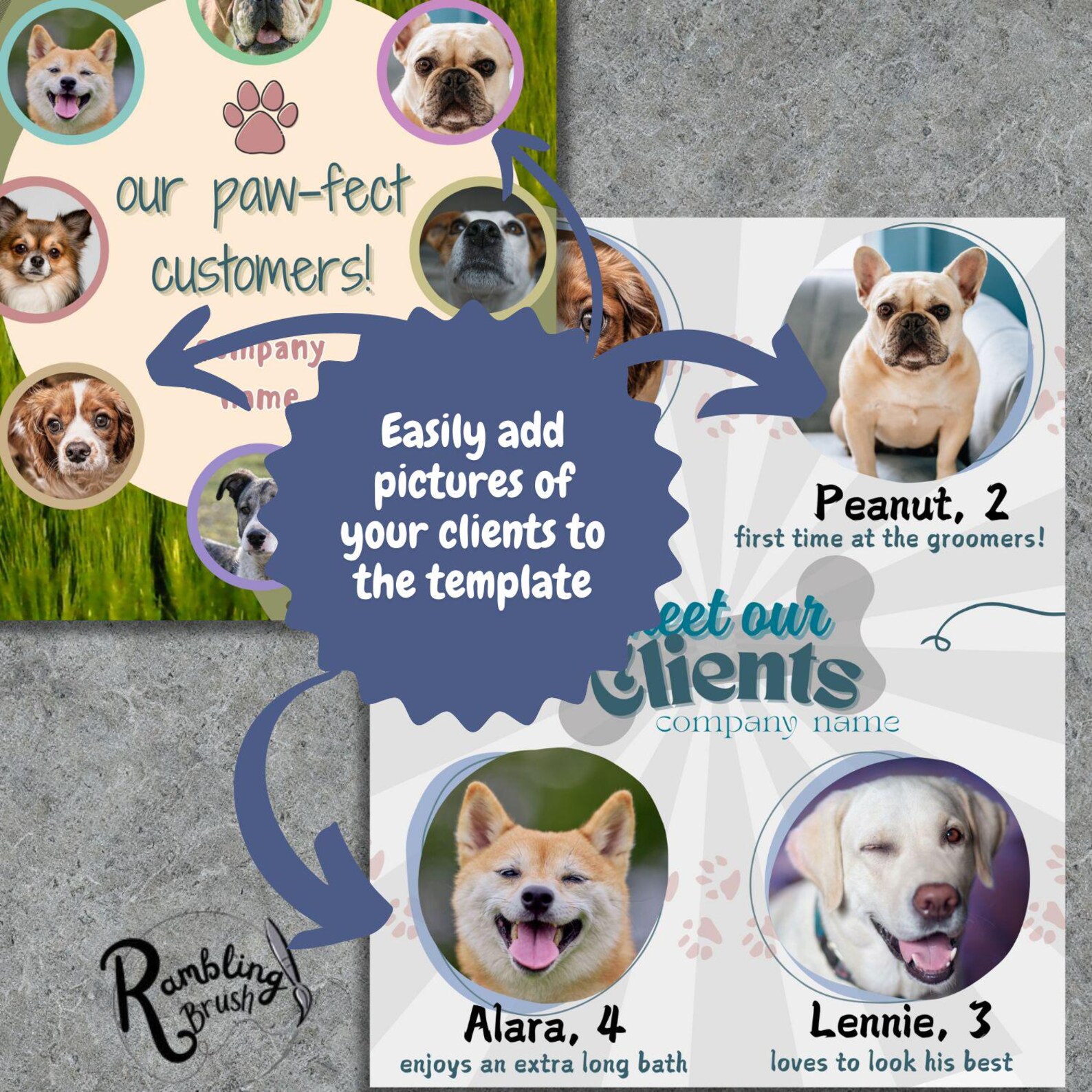 Dog Grooming Social Media Post Bundle - Etsy