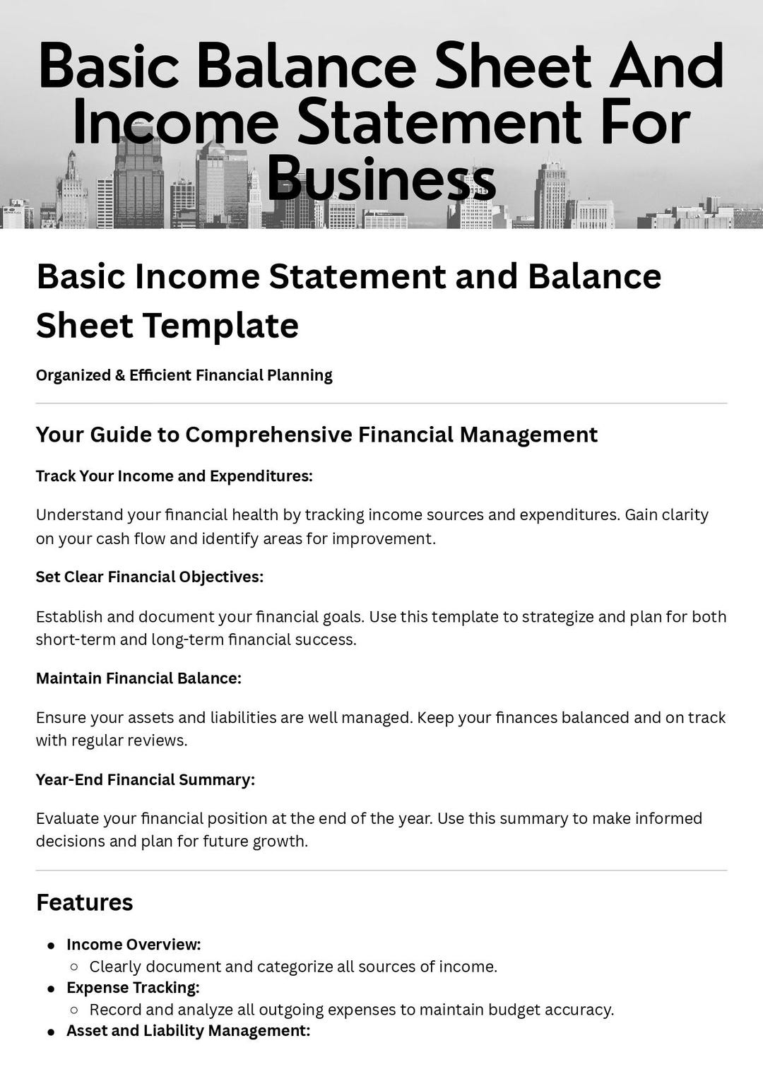 Basic Balance Sheet and Income Statement for Businesses - Etsy