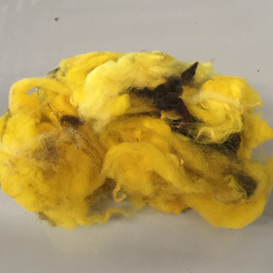 1 Ounce of Yellow Variegated Jacob Sheep Wool - Etsy