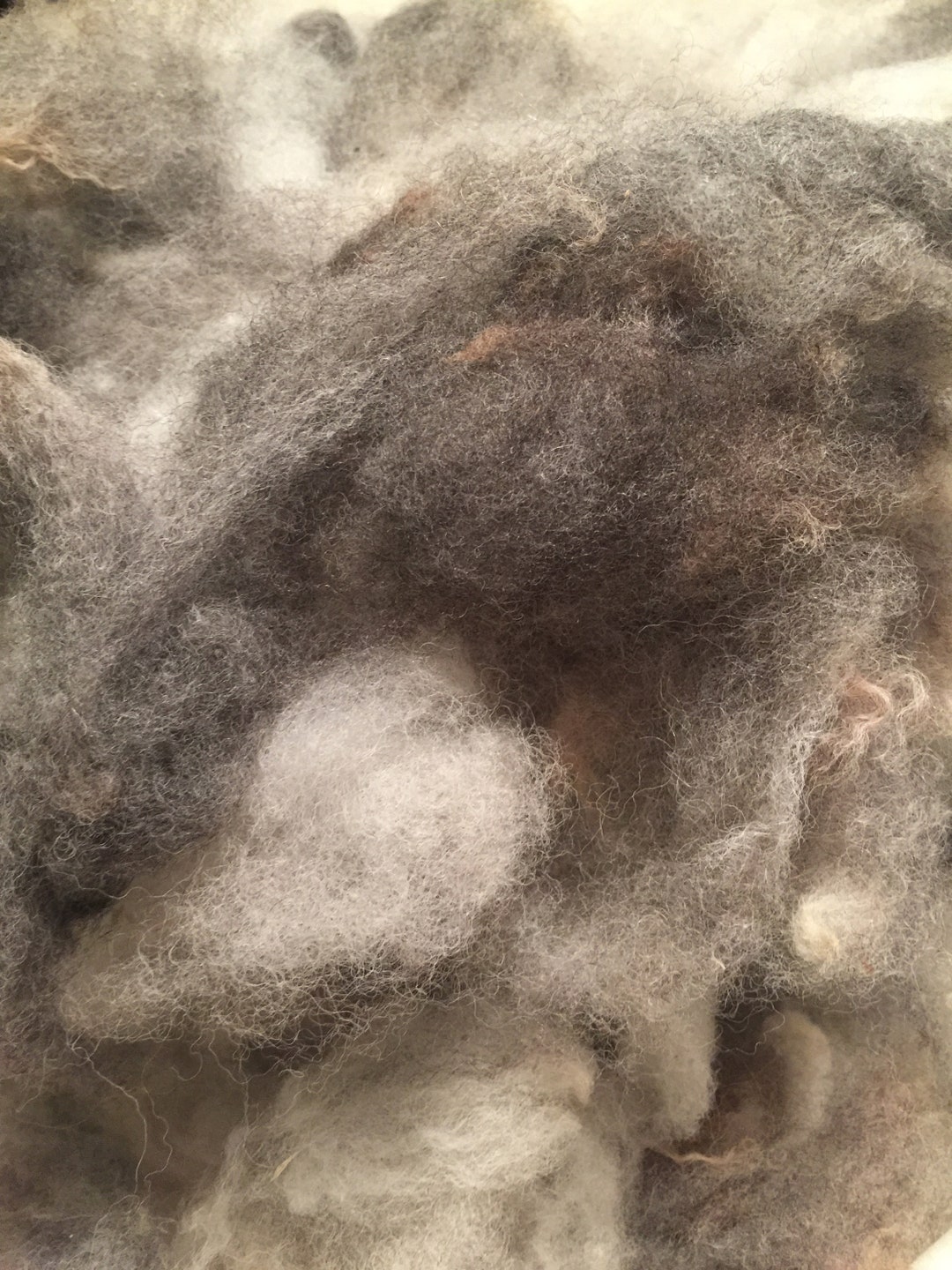 1 Ounce '50 Shades of Gray' Washed Jacob Sheep Wool - Etsy