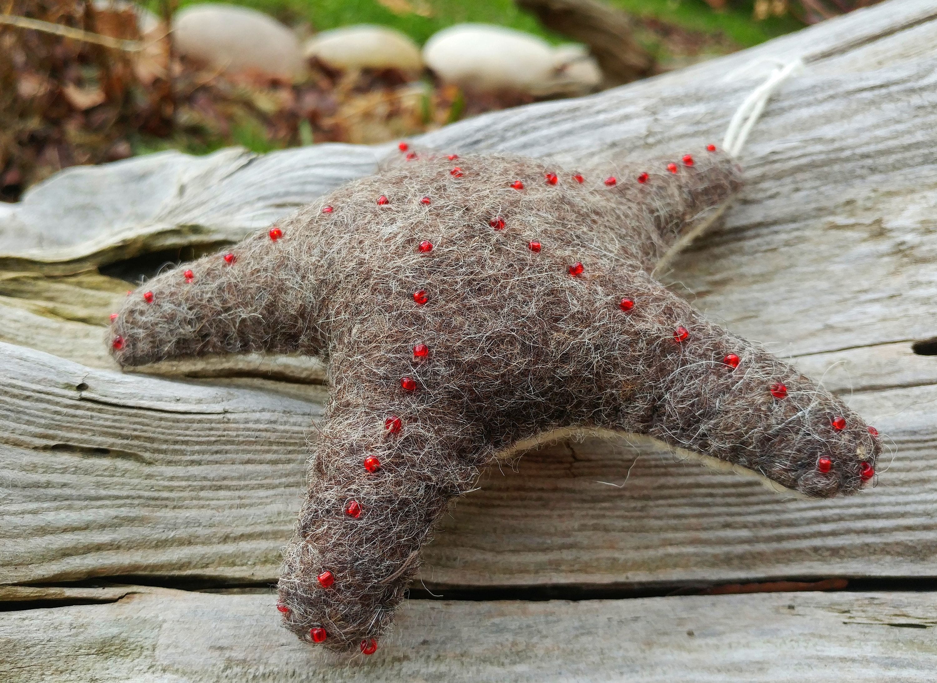 Handmade Wool Felted Starfish Christmas Tree Ornament | Etsy