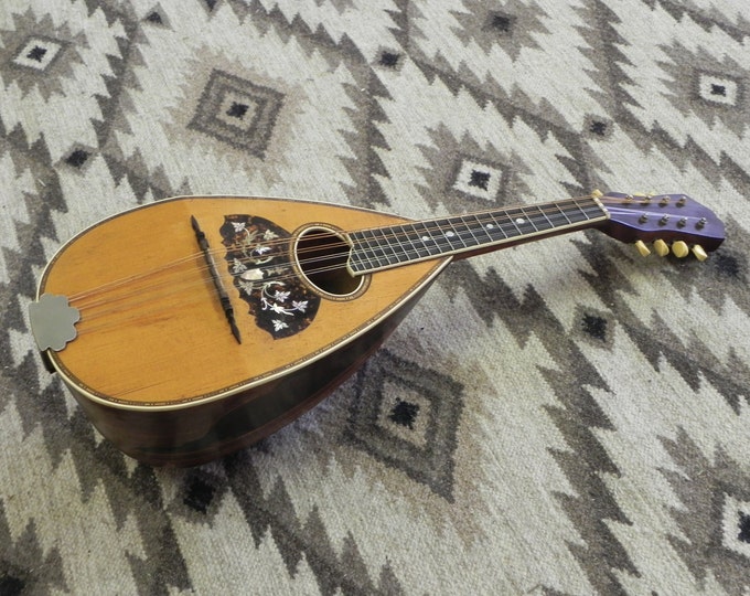Beautiful RARE 1890-1905 Ditson Victory Bowlback Mandolin - Etsy