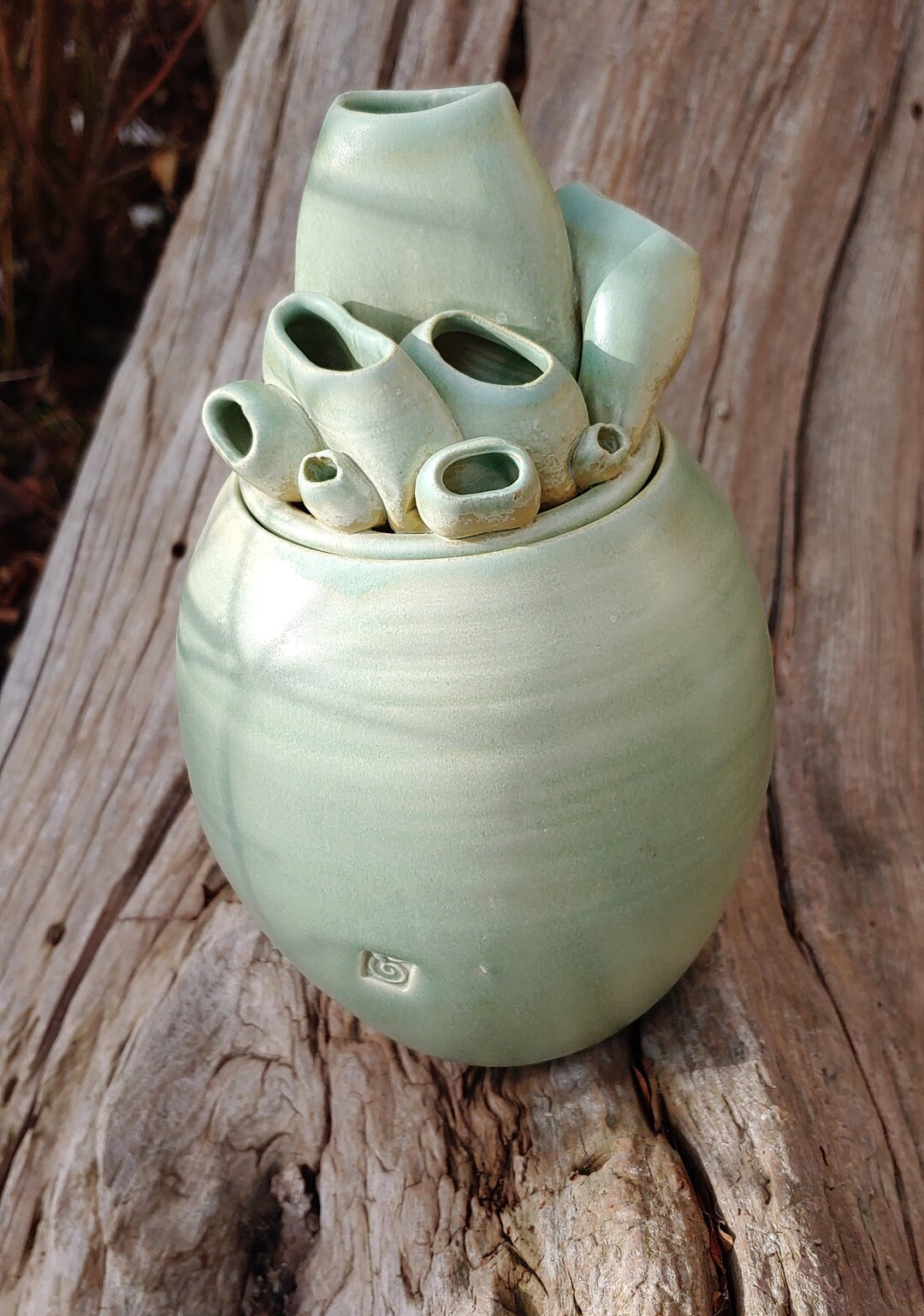 Handmade Ceramic Sea Green Barnacle Pot - Etsy