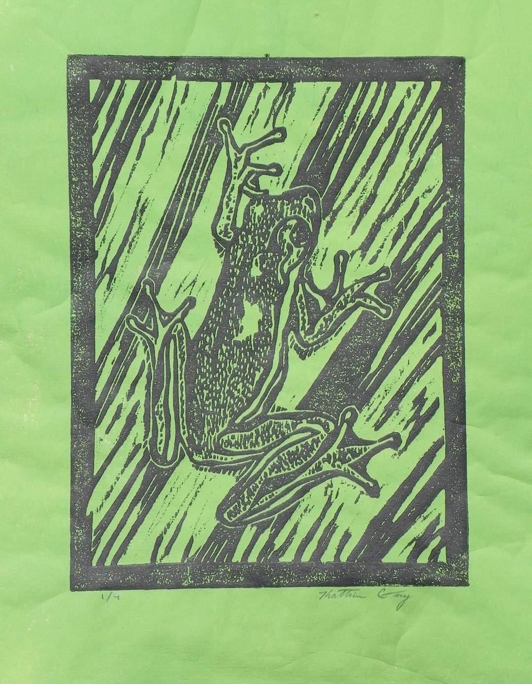 Tree Frog Original Woodblock Print green - Etsy
