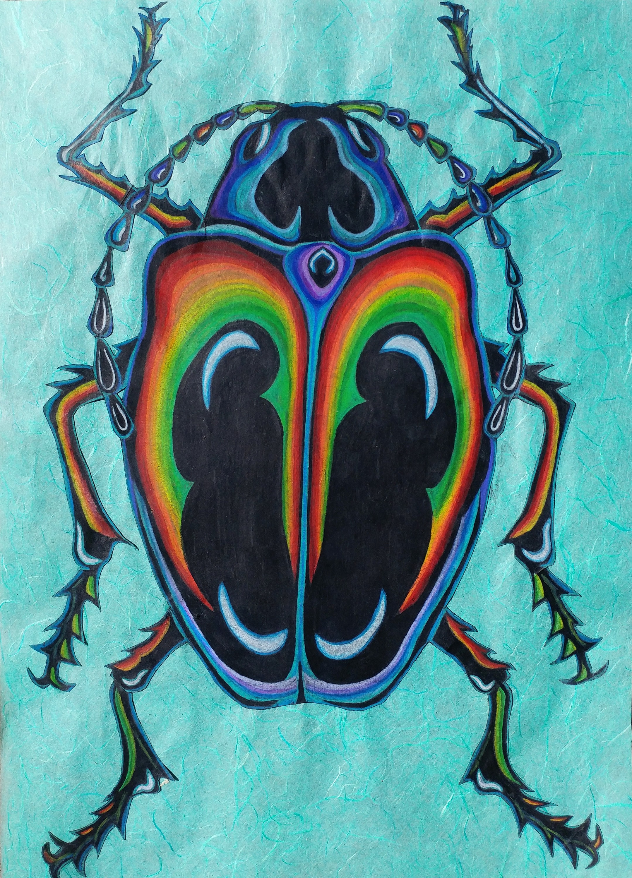 Beetle Original Colored Pencil Drawing - Etsy