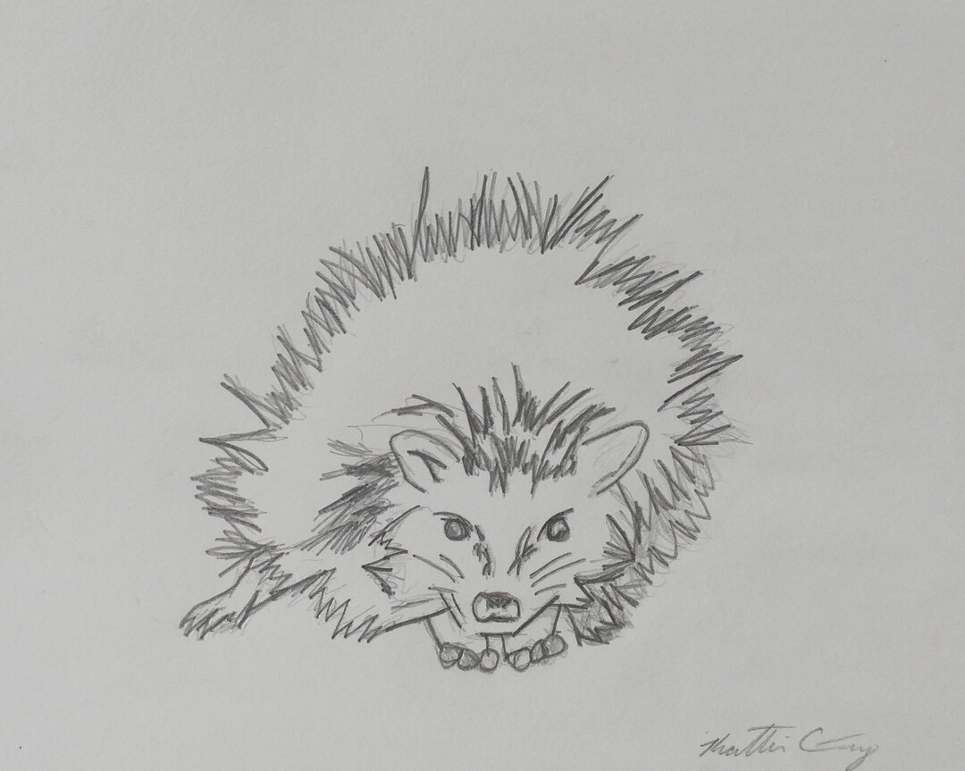 Hedgehog - Original Pencil Drawing - Etsy