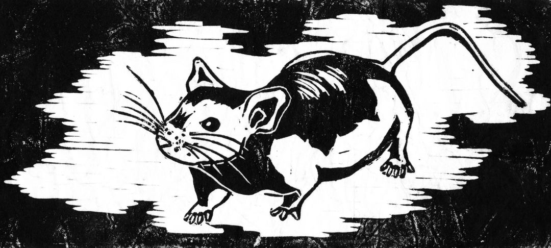 Mouse - Original Linocut - Etsy