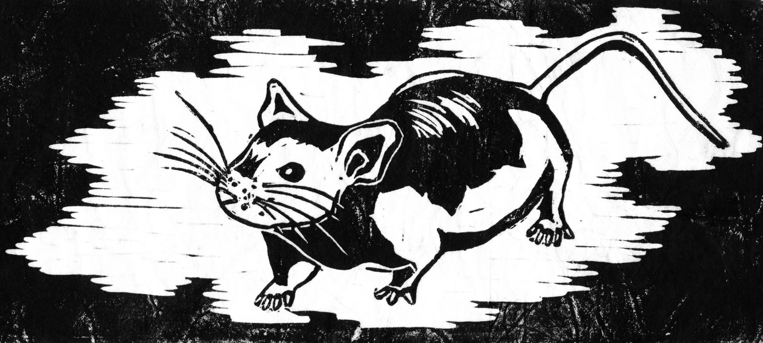 Mouse - Original Linocut - Etsy