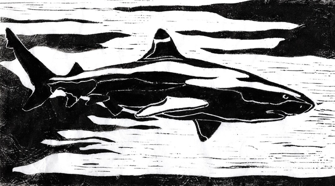 Black Tipped Reef Shark - Original Linocut - Etsy