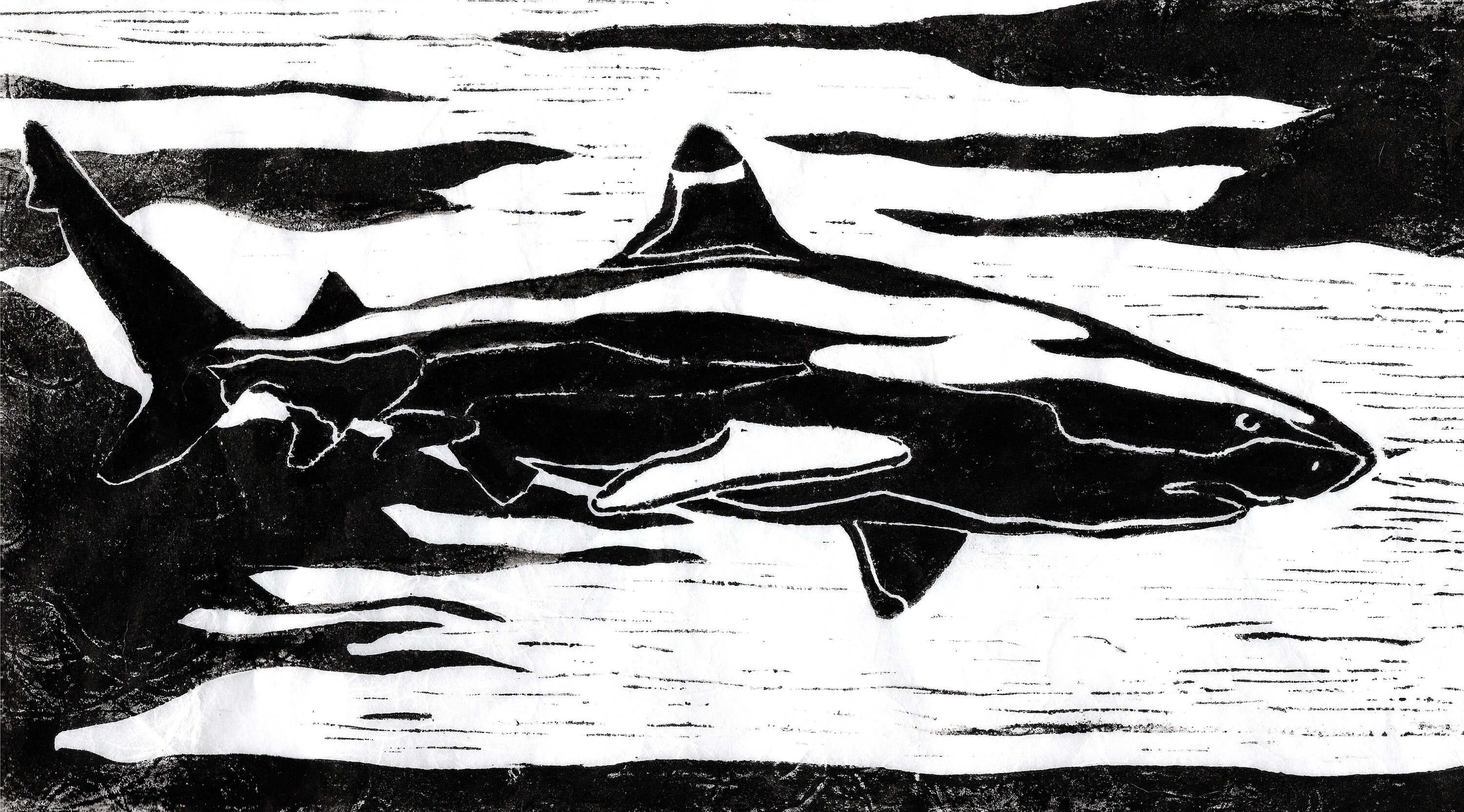 Black Tipped Reef Shark - Original Linocut - Etsy