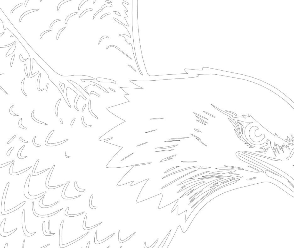 Bald Eagle: Clean Line DXF/SVG/JPEG- Digital Download Vcarving, Laser ...