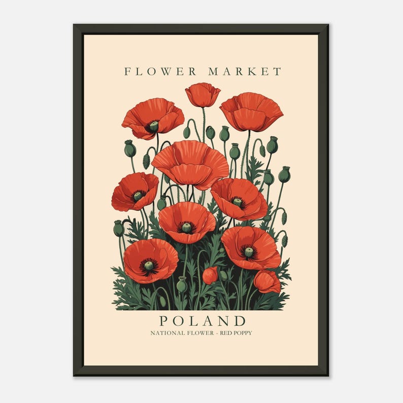 Poland National Flower Poster, Red Poppy Botanical Print, Vintage ...