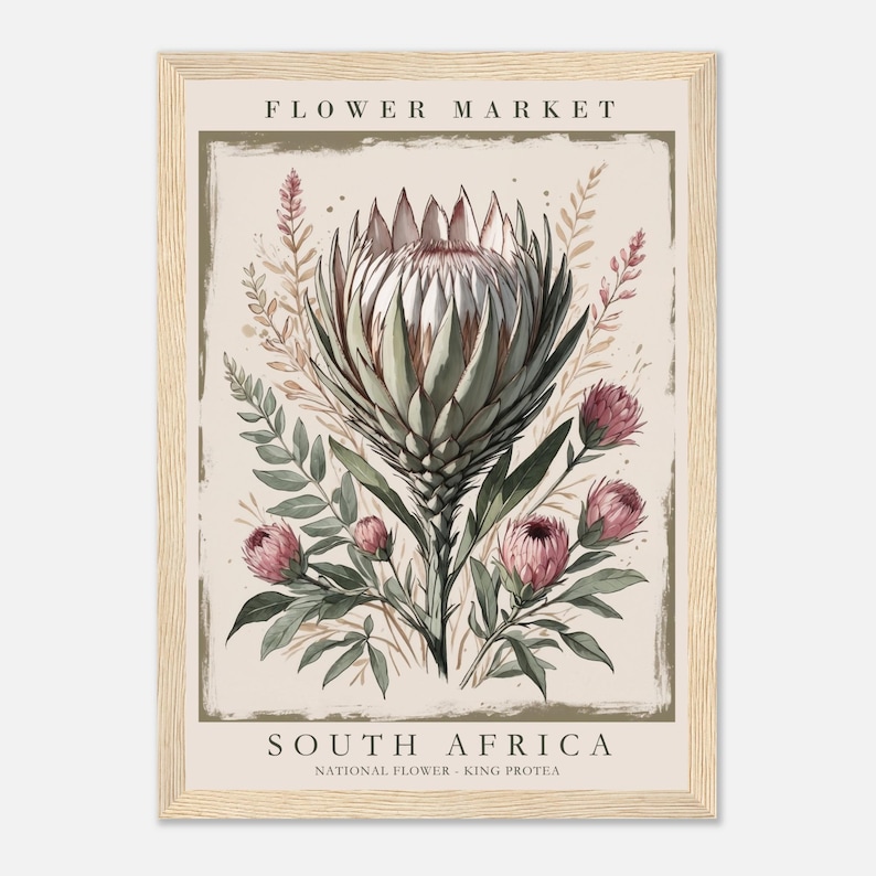South Africa National Flower, King Protea Poster, Flower Market Art ...