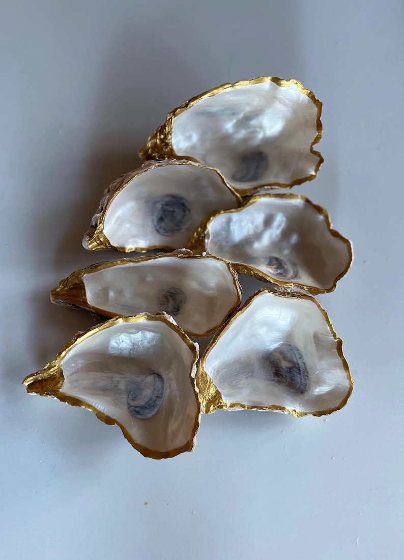 Original Glossed Pearly Oyster Shells, Shimmering With Elegance, Sheek ...